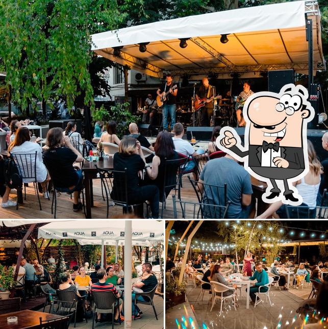 Gradina Urbana, Bucharest - Restaurant menu, prices and reviews