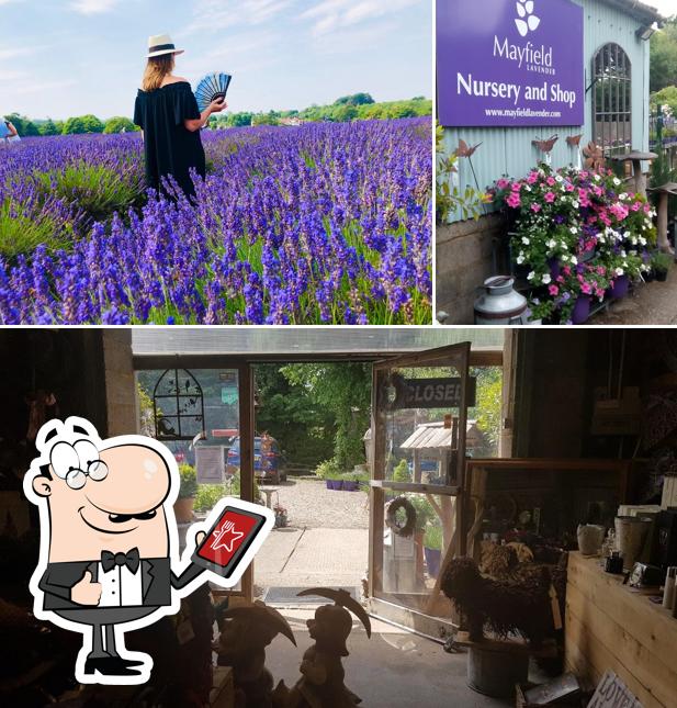 Mayfield Lavender Glasshouse Cafe and Gift & Plant Shop, Epsom ...