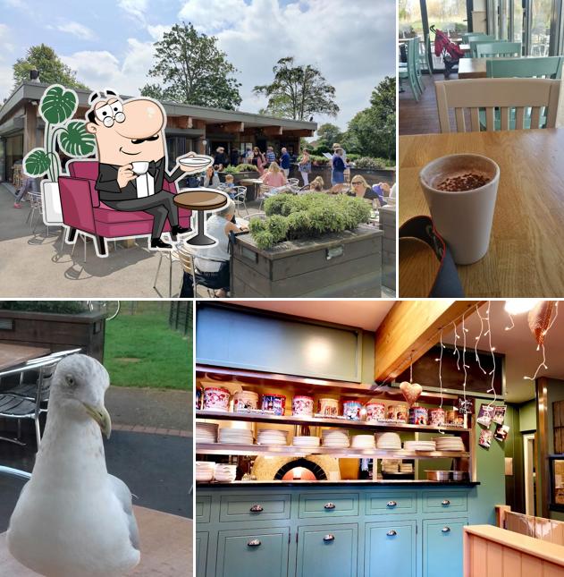 Hotham Park Cafe in Bognor Regis - Restaurant reviews