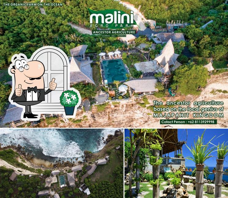 Malini Uluwatu - SEAFOOD & SUNSET, Pecatu - Restaurant menu, prices and ...