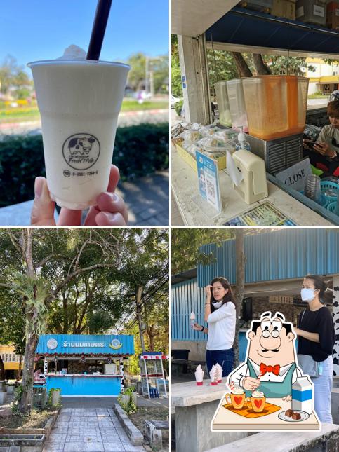 Café Agriculture Fresh Milk, Chiang Mai - Opiniones del restaurante