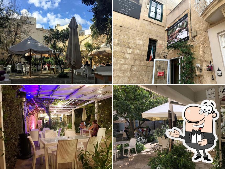 Café Wignacourt restaurant, Rabat - Restaurant reviews