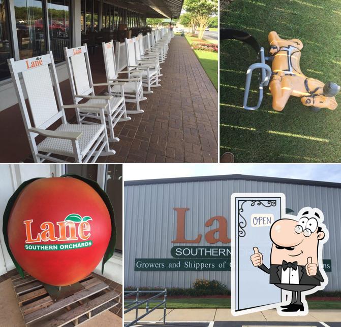 Lane Packing in Fort Valley - Restaurant reviews