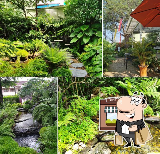One Fine Day Coffee House, Bangkok - Restaurant reviews