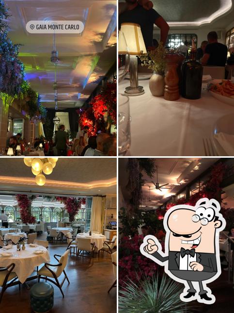 Gaia Monaco restaurant, Monaco-Ville - Restaurant menu and reviews