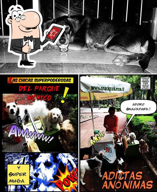 Snack Park restaurant, Mexico City, Parque México - Restaurant reviews