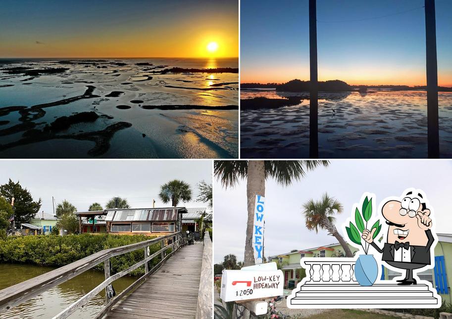 Top 5 restaurants in Cedar Key, december 2025 - Restaurant Guru