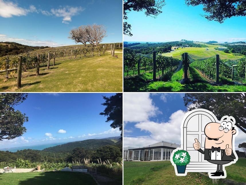 Batch Winery in Auckland - Restaurant reviews