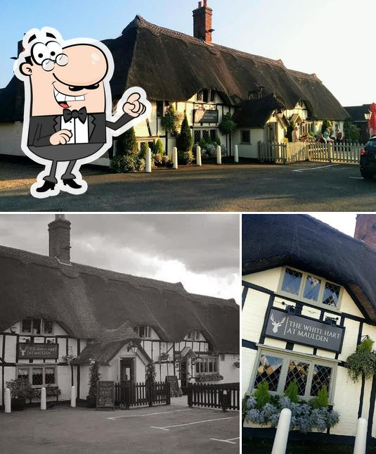 The White Hart at Maulden, Maulden - Restaurant menu, prices and reviews
