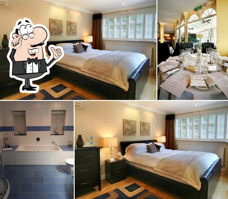 The Lord Bute Hotel & Restaurant in Christchurch - Restaurant menu and ...