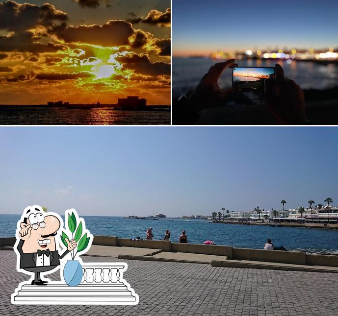 Alykes Beach Bar, Paphos - Speisekarte, Preise und Bewertungen