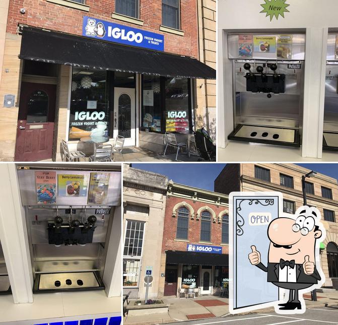 Igloo Frozen Yogurt and Treats in Berea - Restaurant menu and reviews