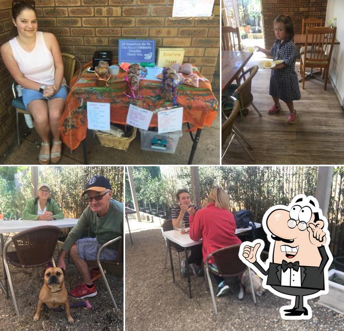 Waterfall Gully Cafe and Nursery, Rosebud - Restaurant menu, prices and ...
