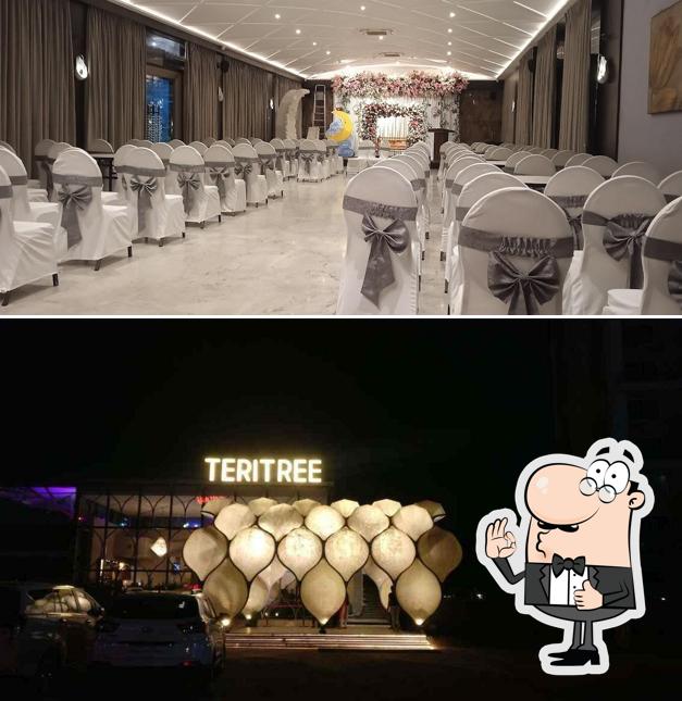 TERITREE Restaurant, Pune - Restaurant menu, prices and reviews