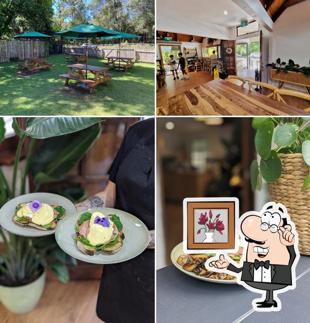 The Hunted Cafe, Bonogin - Restaurant menu, prices and reviews
