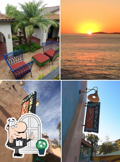 Coyote Grill - Laguna Beach in Laguna Beach - Restaurant menu and reviews