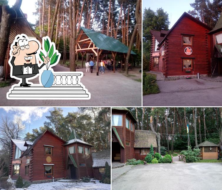 Bilochka cafe, Strumivka - Restaurant reviews
