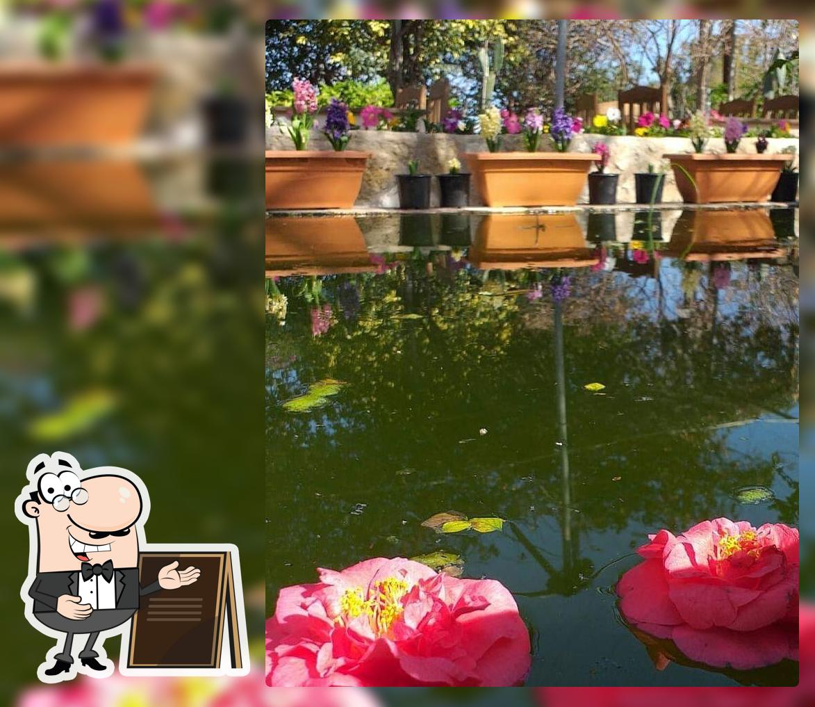 Botanical Babil Cafe, Lapta - Restaurant reviews