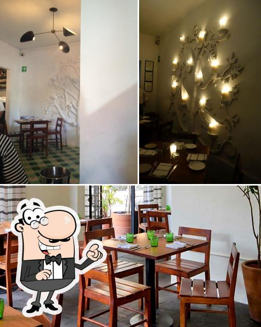 Maximo restaurant, Mexico City, Av. Álvaro Obregón 65 Bis - Restaurant ...