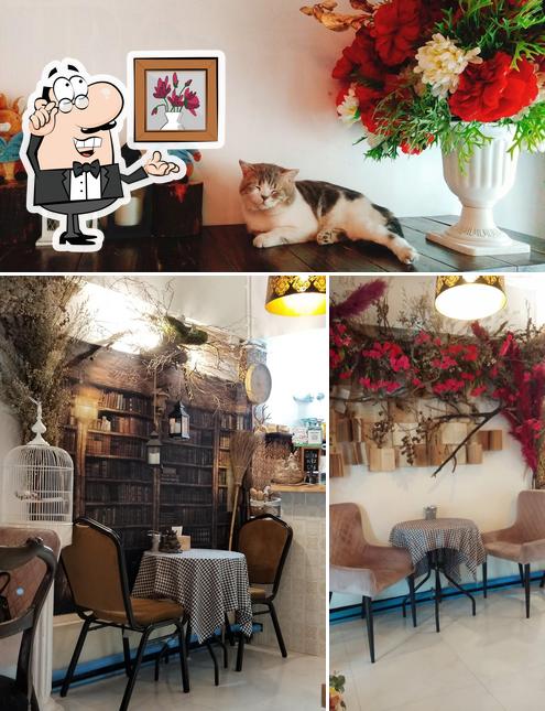 January Cake House cafe, Chiang Mai - Restaurant reviews