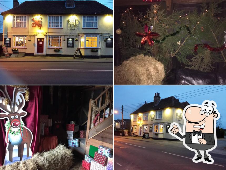 Find the best place to eat in Latchingdon, winter 2023 - Restaurant Guru