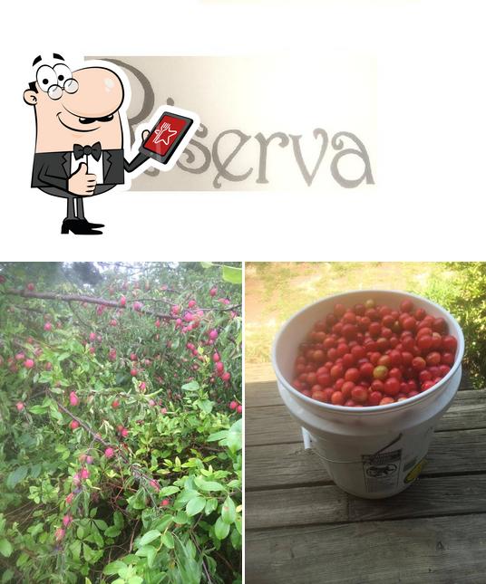 Riserva, West Columbia - Restaurant menu, prices and reviews
