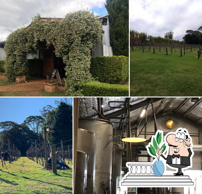 Witches Falls Winery in Tamborine Mountain - Restaurant reviews