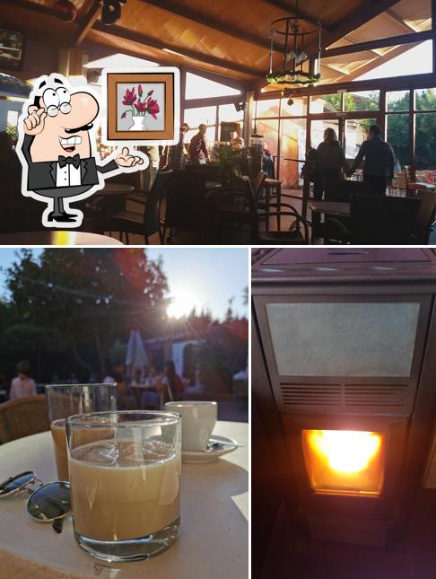 Hacienda Copas in Linares - Restaurant reviews