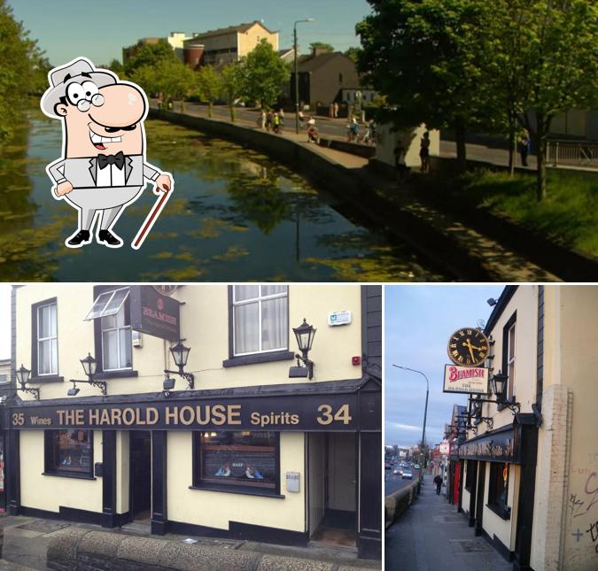 Harold House, Dublin - Restaurant menu, prices and reviews