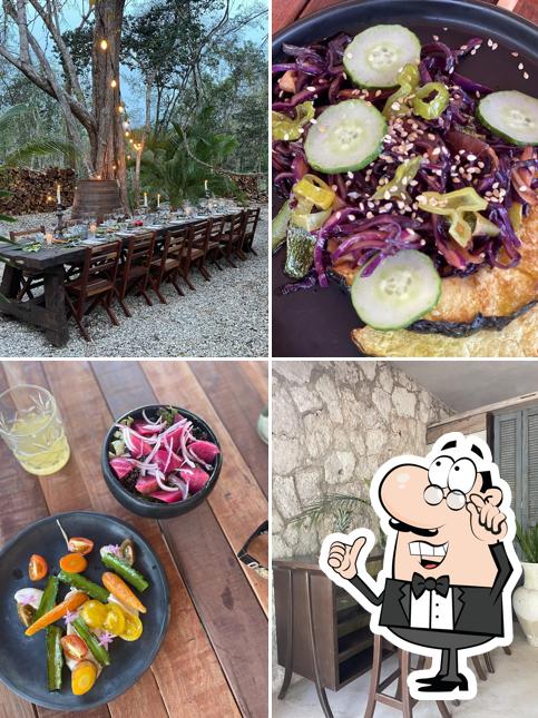 Salvia restaurant, Mexico - Restaurant menu and reviews