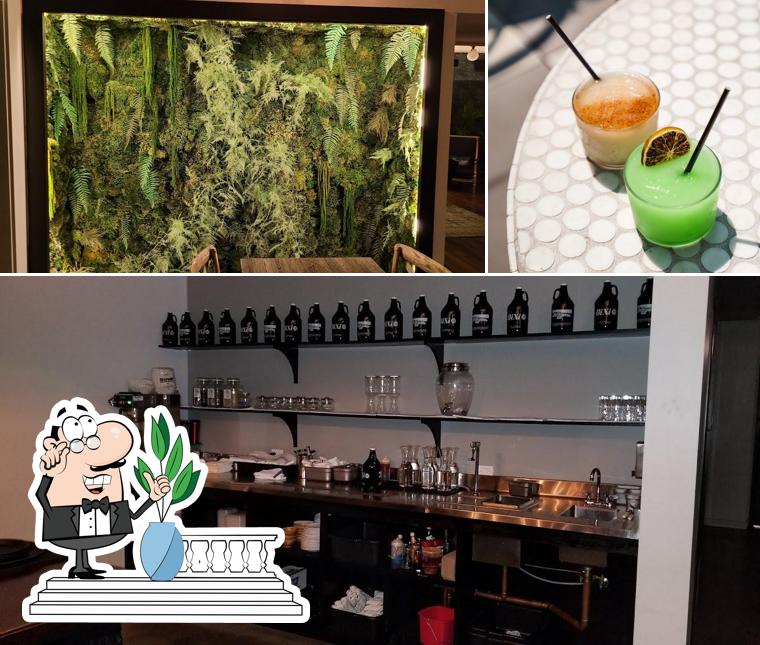 BiXi Beer, Chicago, Logan Square - Restaurant menu, prices and reviews