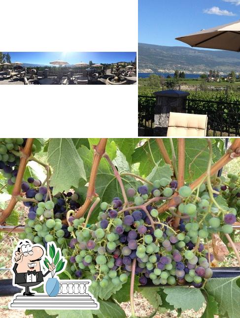 Heaven's Gate Estate Winery in Summerland - Restaurant reviews