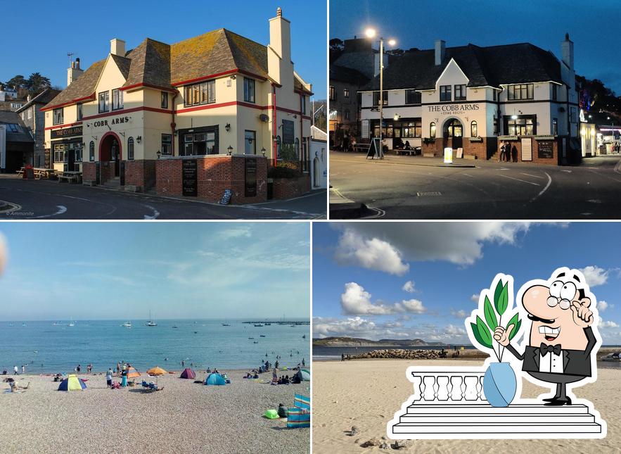 Cobb Arms in Lyme Regis - Restaurant menu and reviews