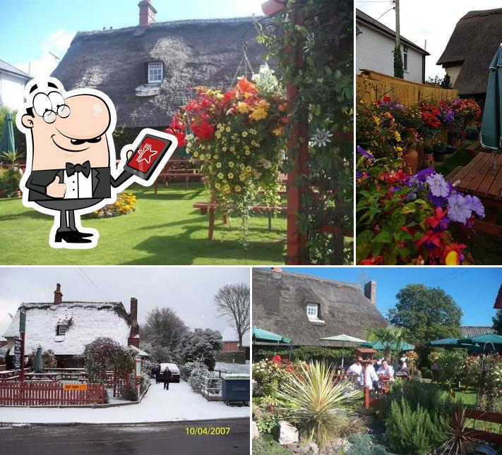 Tythe Cottage Restaurant, Exmouth - Restaurant menu, prices and reviews