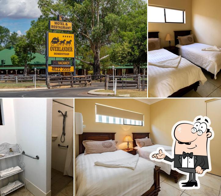 Overlander Homestead Motel 4 1/2 STARS in Roma - Australian restaurant ...