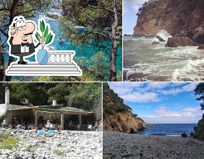 Restaurant de Cala Pedrosa, Tamariu - Restaurant menu, prices and reviews