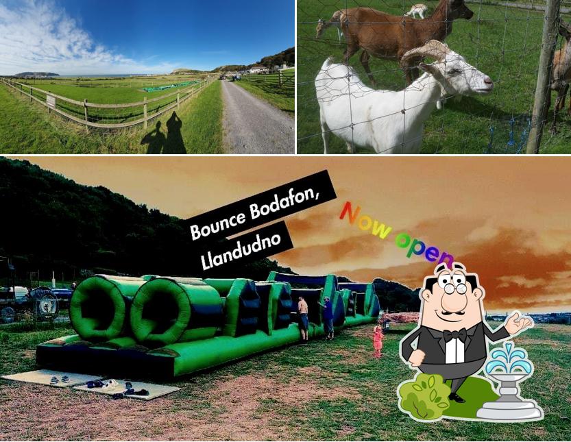 Bodafon Farm Park, Llandudno - Restaurant menu, prices and reviews