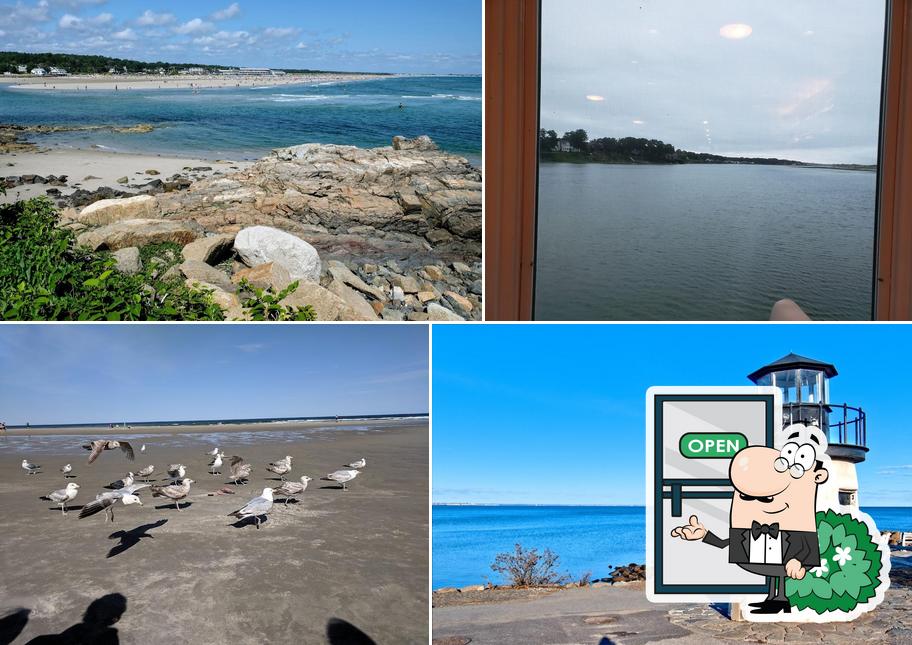 Top 5 restaurants with grilled prawns in Ogunquit, january 2025 ...
