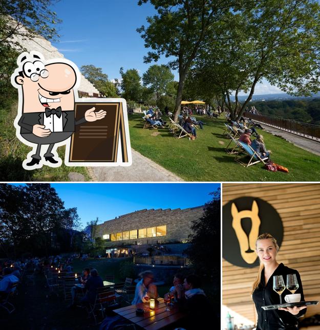 FALADA, Kassel - Speisekarte, Preise und Bewertungen