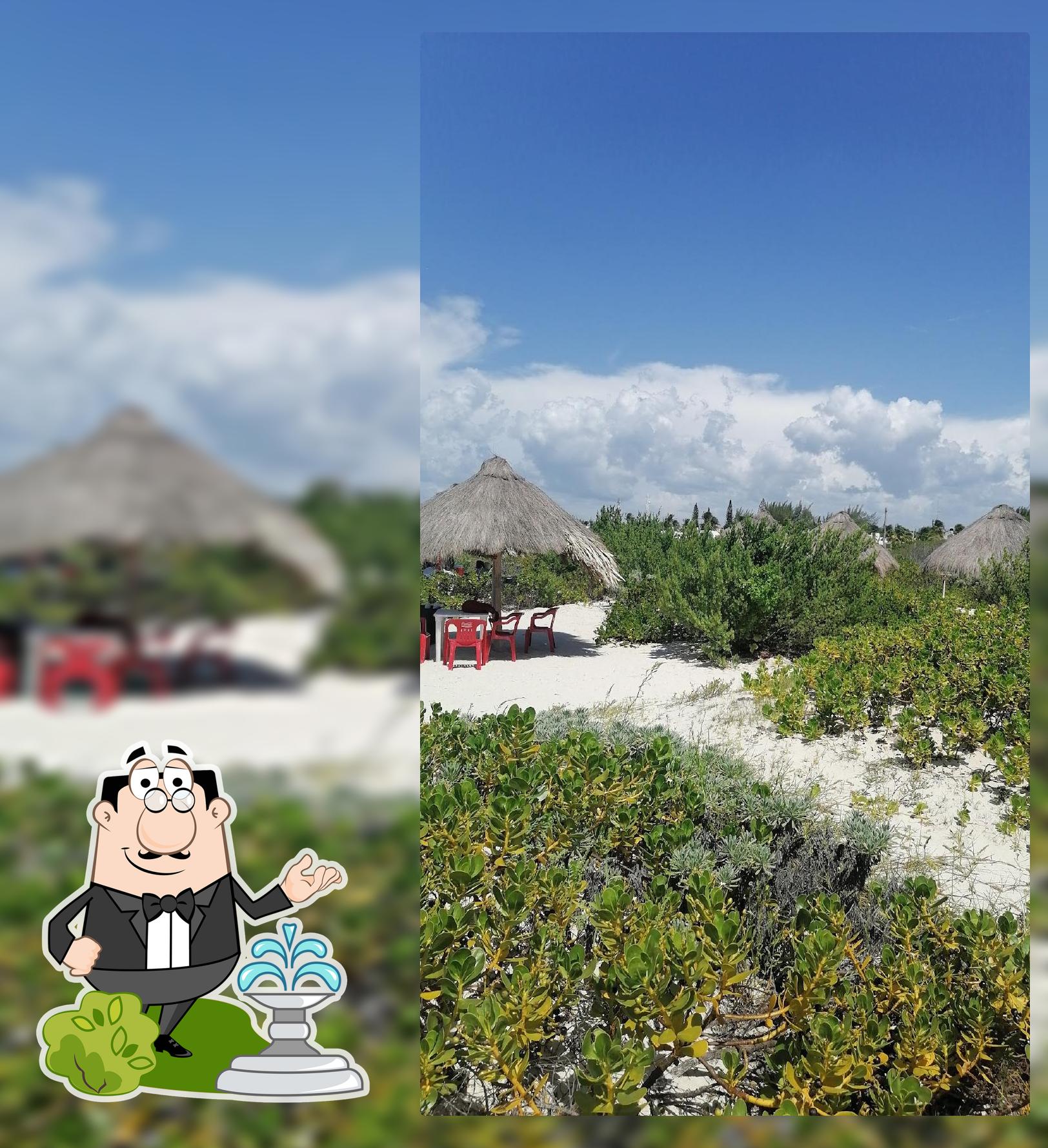 Las Dunas Beach Club / Palapas, Sisal - Menú del restaurante, precios y ...