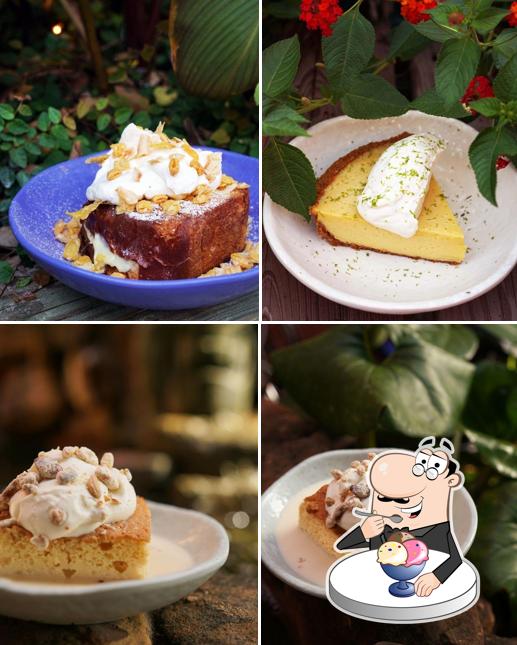 The Toasted Coconut in Houston - Restaurant reviews