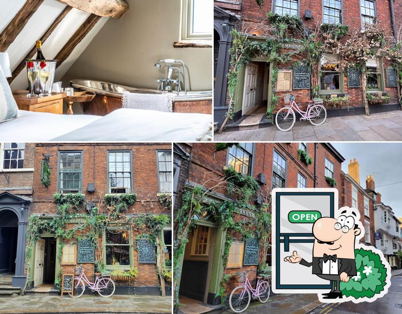 Forest, York - Restaurant menu, prices and reviews