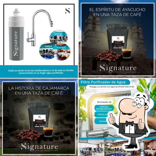 Signature - Café y Cacao de Especialidad, Jesus Maria - Opiniones del ...