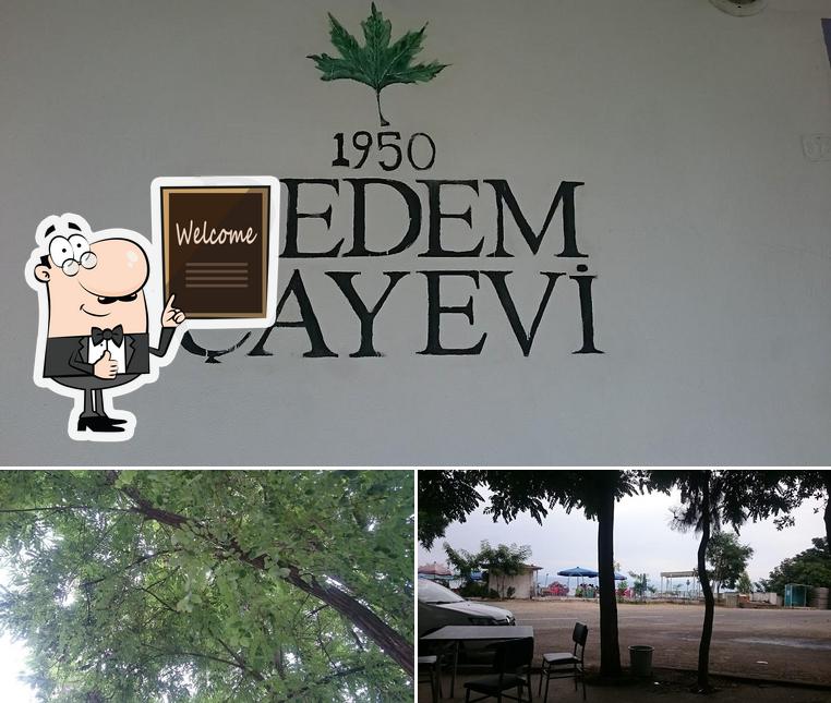 Dedem çay evi, Турция - Restaurant reviews