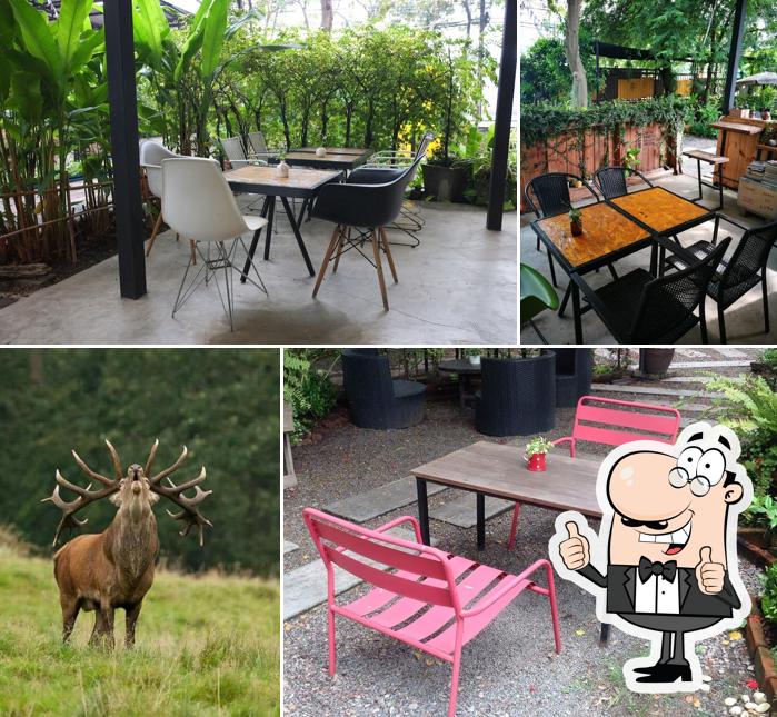 MITTA CAFE, Bangkok, 520 Rama II Rd - Restaurant reviews