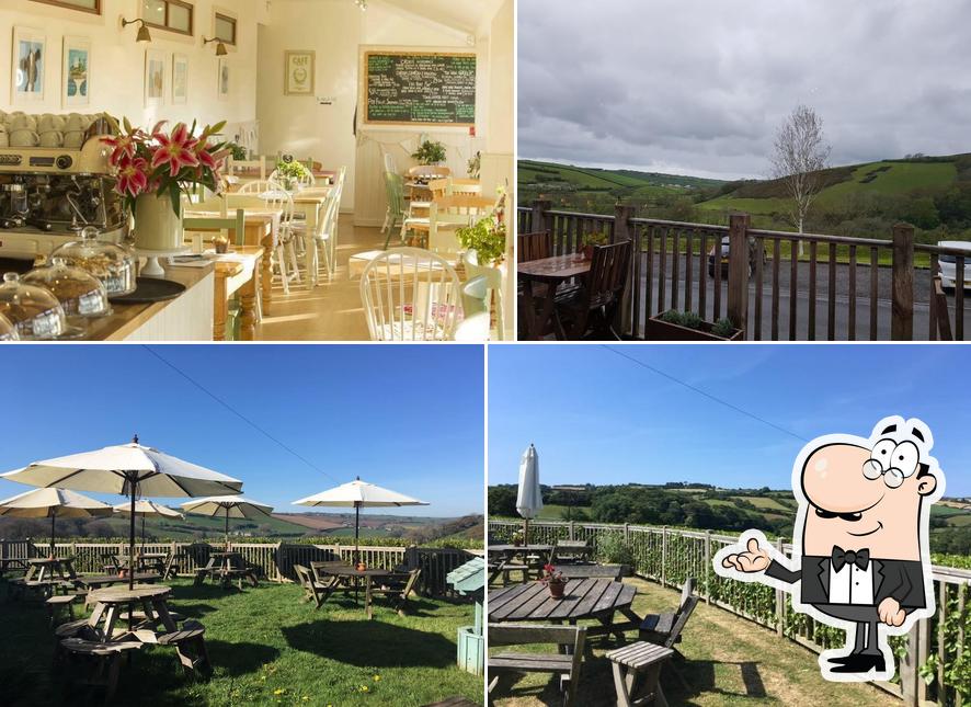 Valley View Cafe, Loddiswell, Rake Farm - Opiniones del restaurante