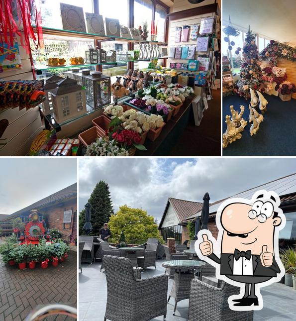 Windlebridge Garden Nursery & Tearooms in Guisborough - Restaurant reviews