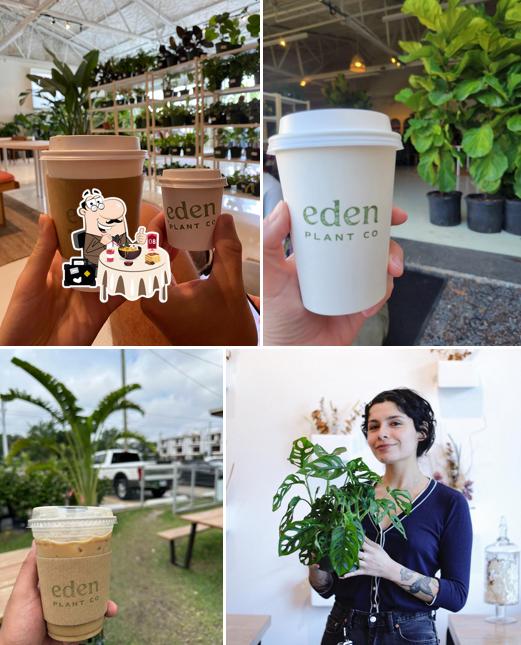 Eden Plant Co., Houston - Restaurant menu, prices and reviews