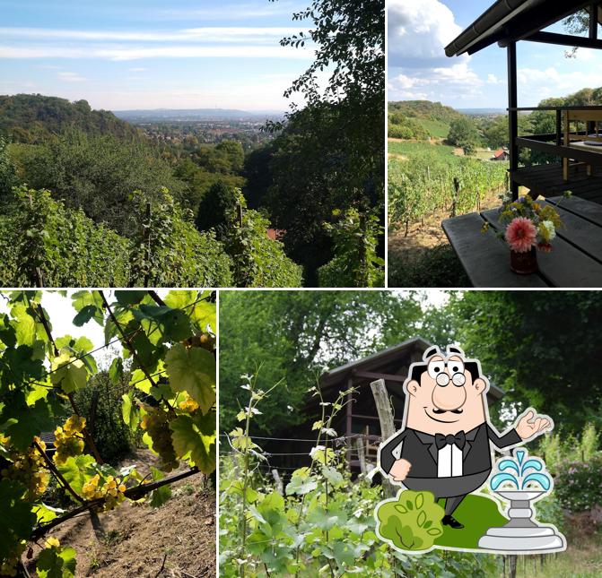 Top 7 Restaurants in Radebeul, September 2025 - Restaurant Guru