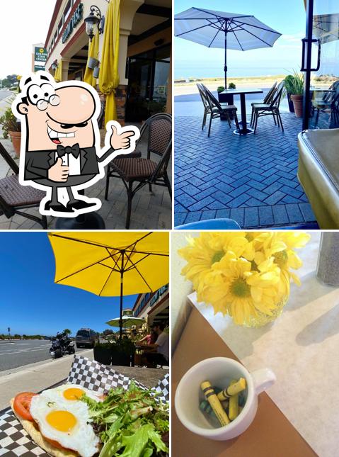 Yellow Vase, 31248 Palos Verdes Dr W in Rancho Palos Verdes ...